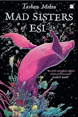 Review: THE MAD SISTERS OF ESI by Tashan Mehta - Donald Maass Literary ...